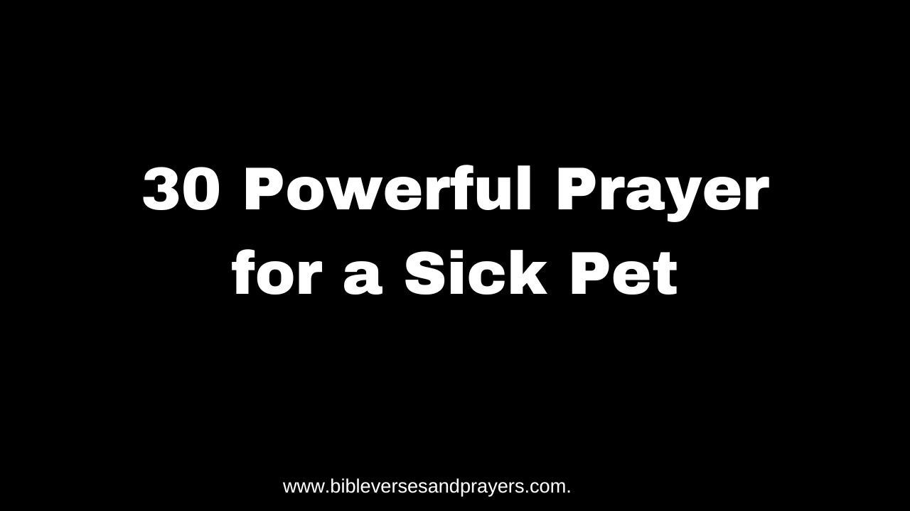 30 Powerful Prayer for a Sick Pet