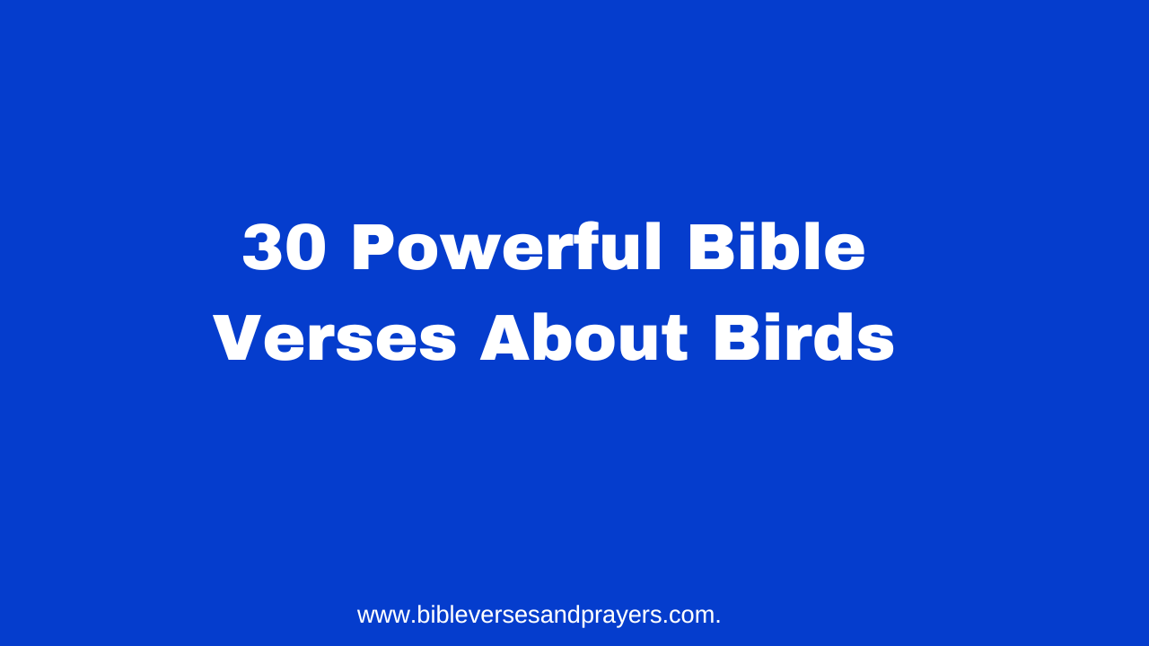 30 Powerful Bible Verses About Birds