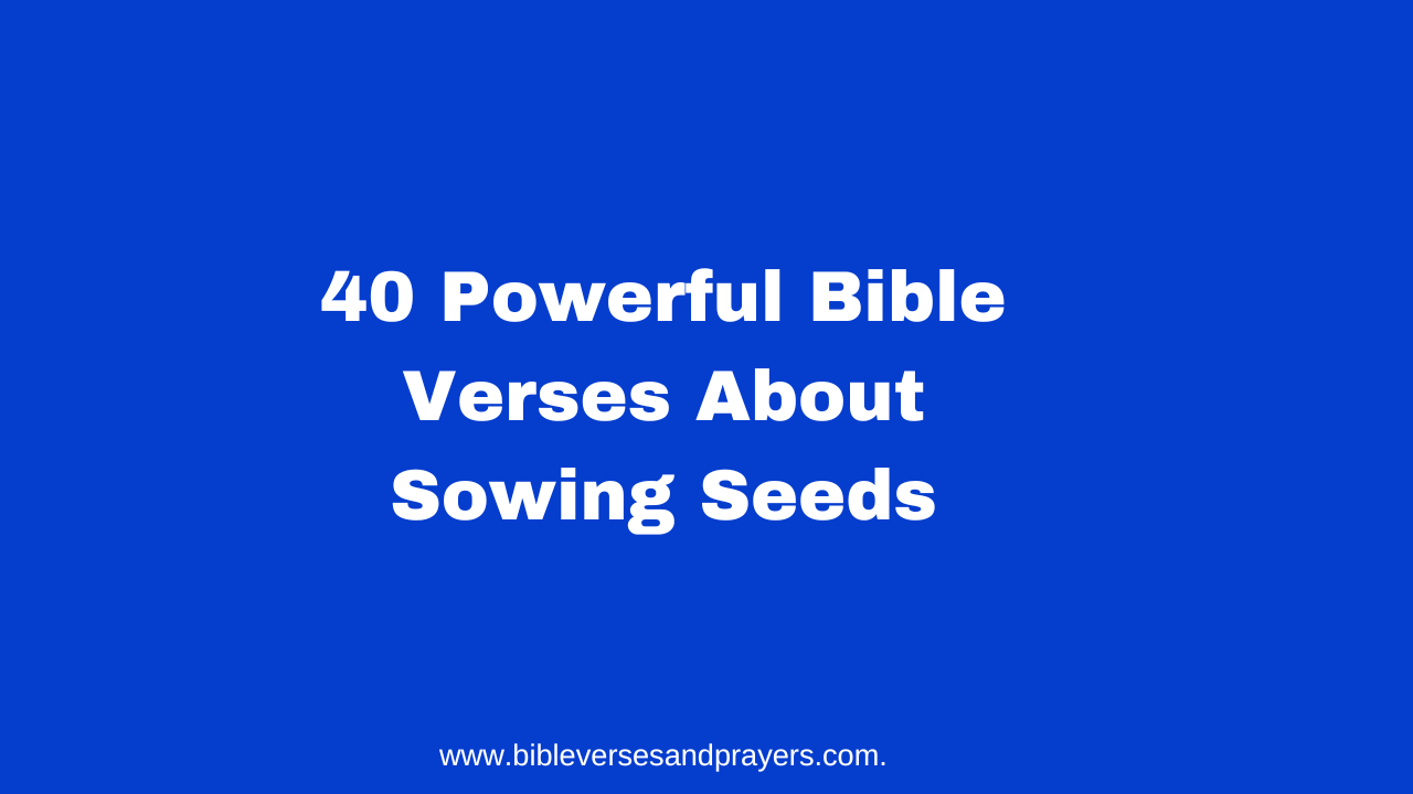 40 Powerful Bible Verses About Sowing Seeds