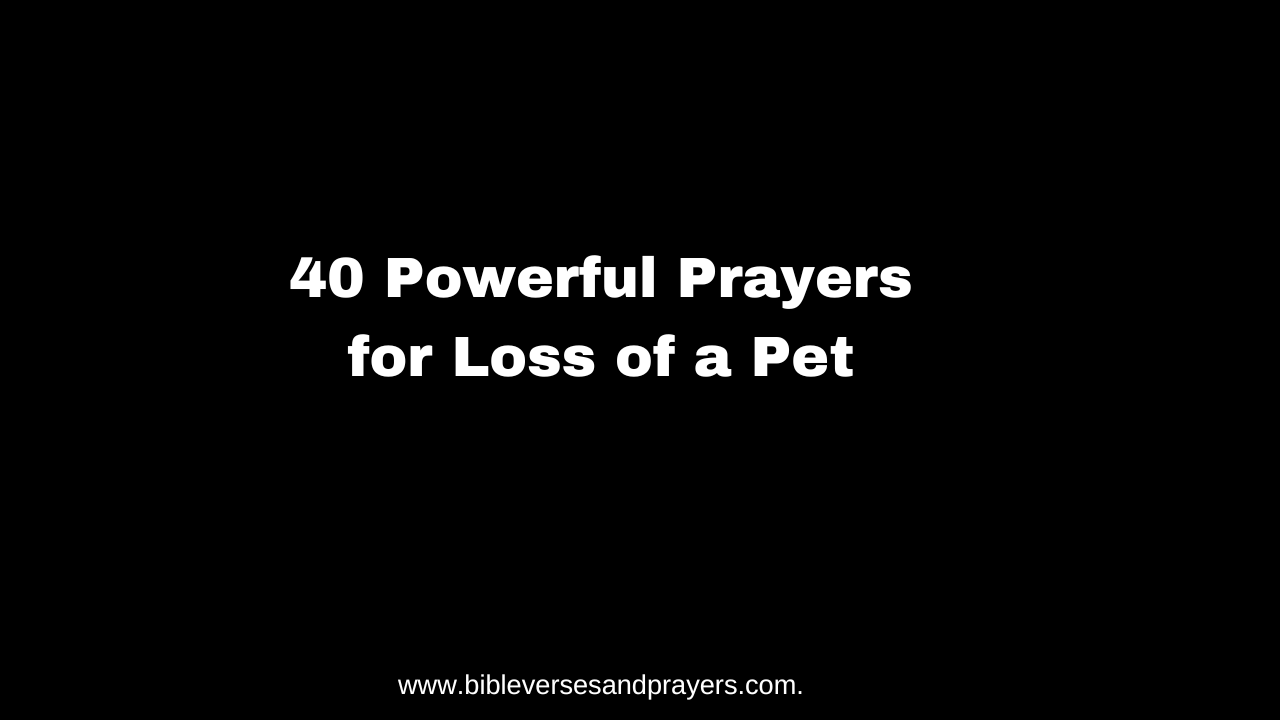40 Powerful Prayers for Loss of a Pet